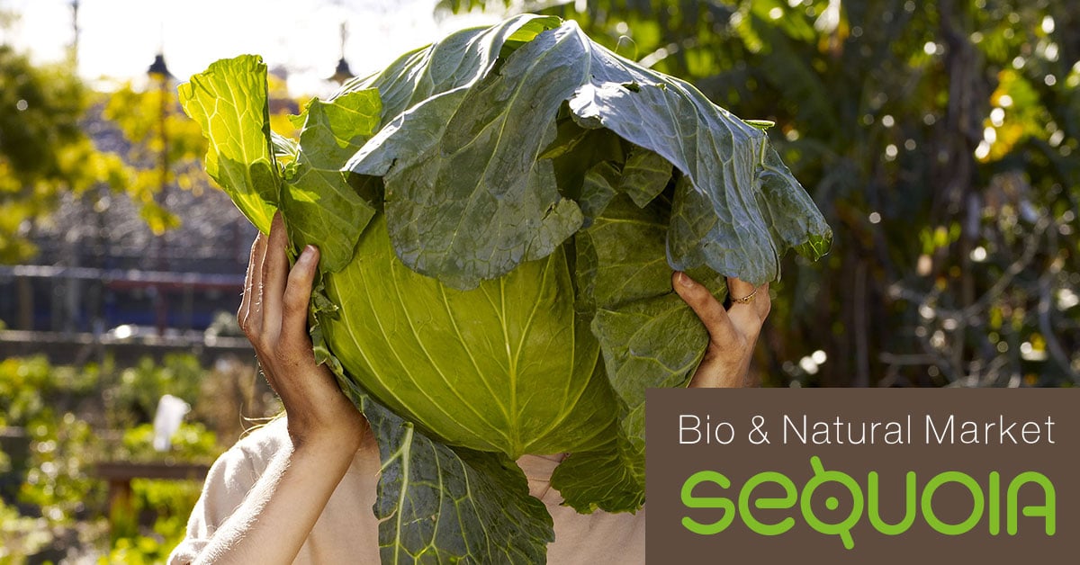 Nos produits | Sequoia